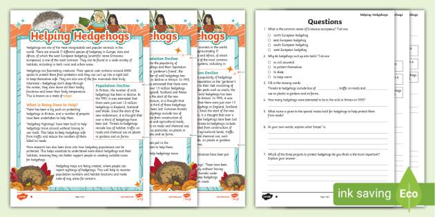 UKS2 Helping Hedgehogs Differentiated Reading Comprehension Activity