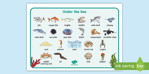 Under the Sea Word Mat (teacher made)