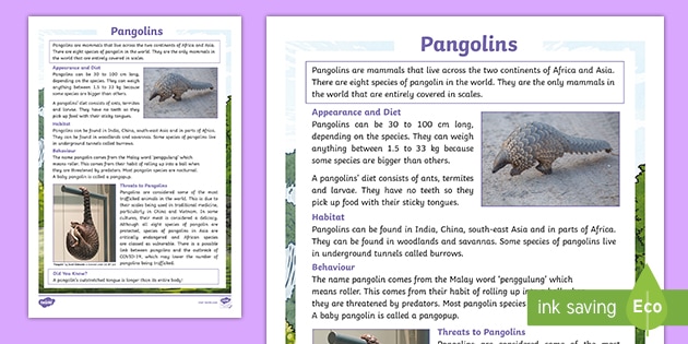 KS2 Pangolins Fact File - Parents - Science and STEM