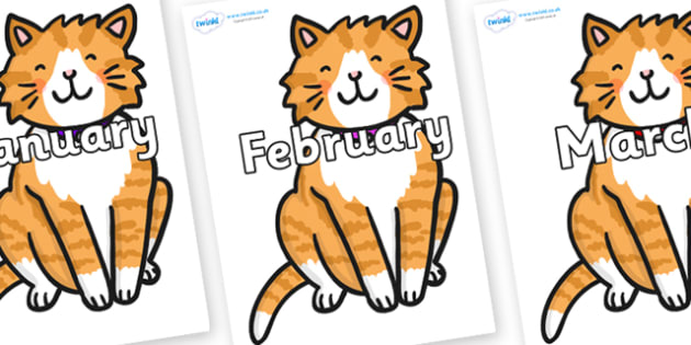 FREE! - Months of the Year on Cat (teacher made)