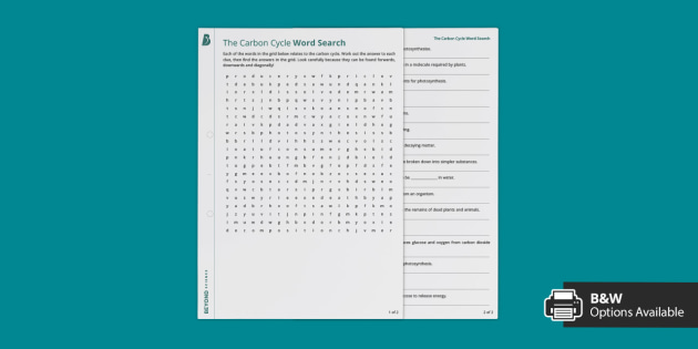 Carbon Cycle Word Search (teacher made)