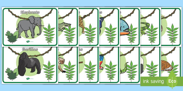 FREE! - Editable Group Signs (Jungle & Rainforest)