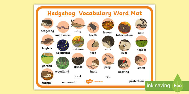 Hedgehog Vocabulary Word Mat (teacher made)