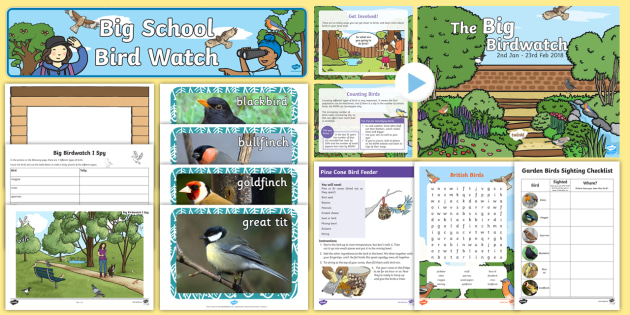 Big Schools' Birdwatch 2018 Resource Pack (teacher made)