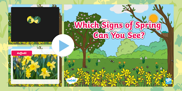 Signs of Spring | twinkl.com.au