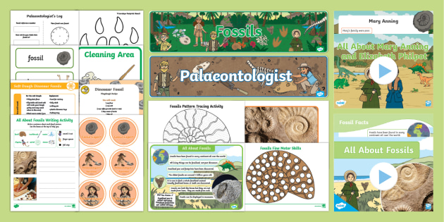 Explaining Fossils Resource Pack (teacher made)