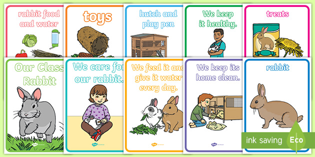 * NEW * Our Class Rabbit Display Posters