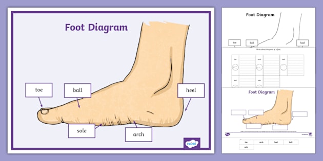 Blank Foot Diagram