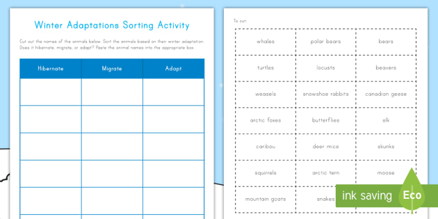 Winter Adaptations Sorting Activity (teacher made)
