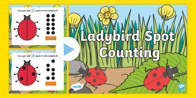 Ladybird Spot Counting PowerPoint (teacher made)