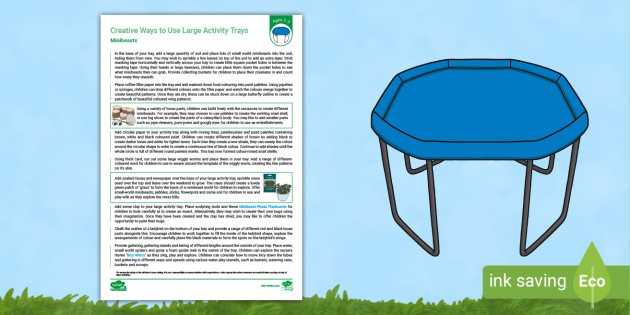 EYFS Ages 2-3 Large Activity Trays: Minibeasts