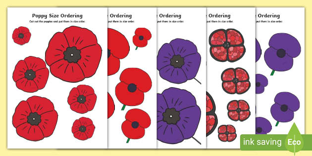 👉 Poppy Size Ordering Activity