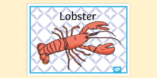 FREE! - Lobster Poster for Display | Primary Resources - Twinkl