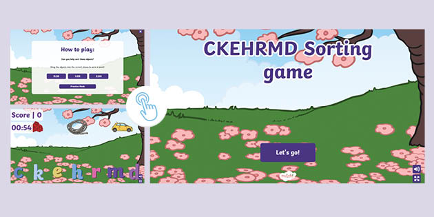 CKEHRMD Interactive Sorting Game (teacher made)