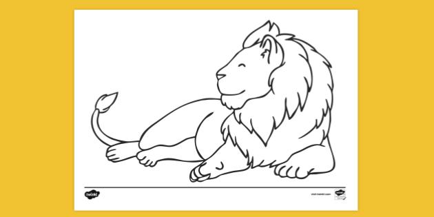 FREE! - Lion Lying Down Colouring | Colouring Sheet