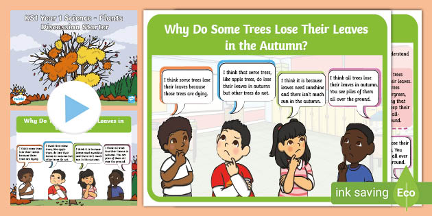 KS1 Year 1 Plants Science Discussion Starter (teacher made)