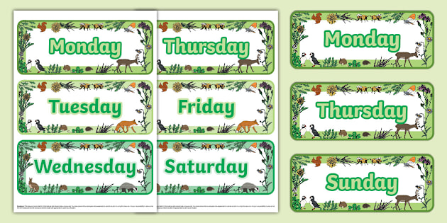 Days of the Week Cards | twinkl.co.uk
