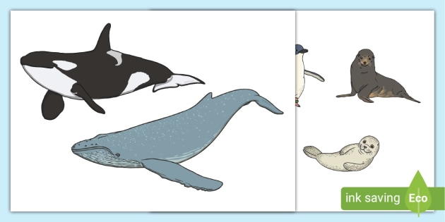 Antarctic Animals Stick Puppets (Teacher-Made)