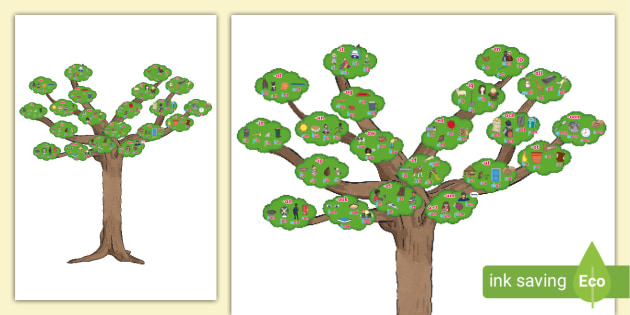 Onset and Rime Tree Display (teacher made)