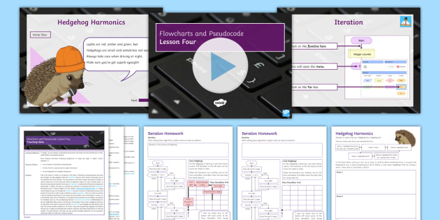 Flowcharts and Pseudocode: Lesson 4 (teacher made) Flowcharts and Pseudocode: Lesson 4 (teacher made)