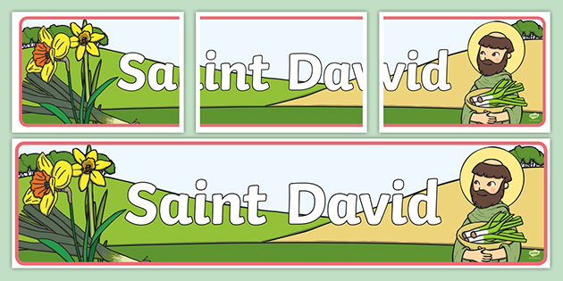 Saint David Display Banner