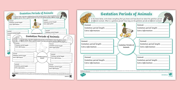 Animal Gestation Period Table