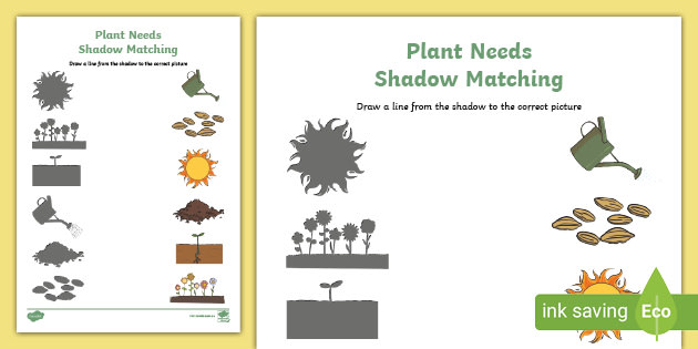 Plant Needs Shadow Matching Activity (teacher made)