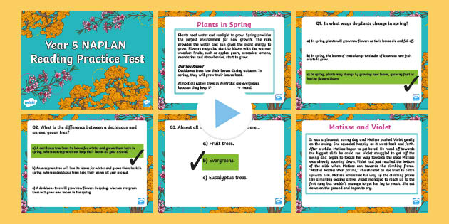 Year 5 NAPLAN Reading Practice Quiz | Primary Teaching