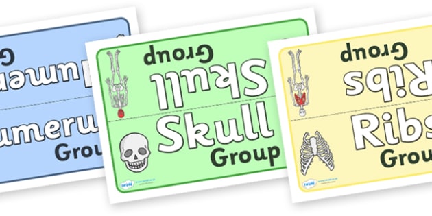 Bones Of The Body Class Group Table Signs (teacher made)