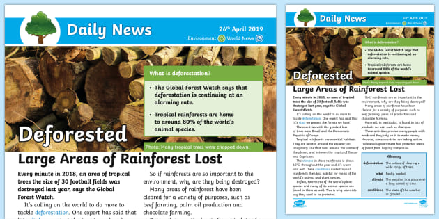 Newspaper Article on Amazon Rainforest | Twinkl NewsRoom