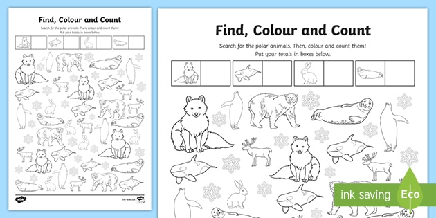 Polar Animals Find Colour and Count Activity