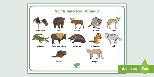 North American Animals Word Mat (teacher made)
