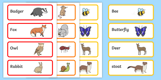 Woodland Animals Themed Labels (teacher made)