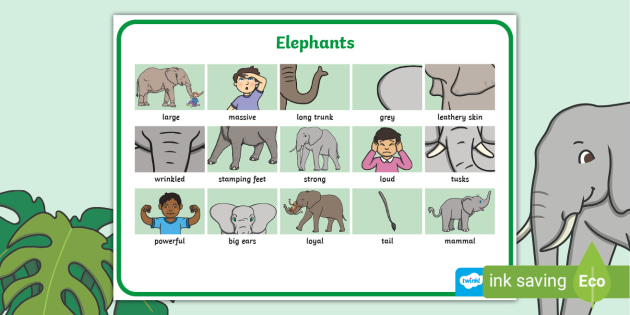 Elephants Description Word Mat (teacher made)