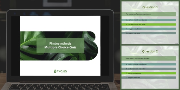 Photosynthesis PowerPoints | twinkl.co.uk