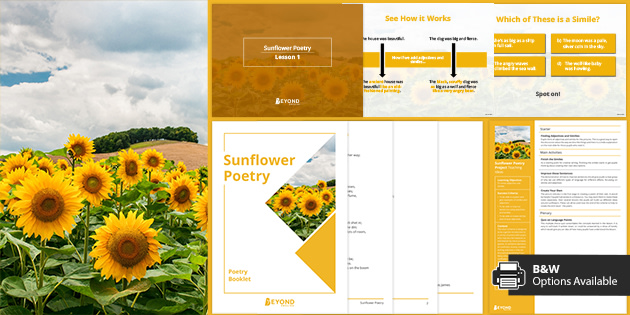 Sunflower Poetry Similes and Adjectives Pack (teacher made)