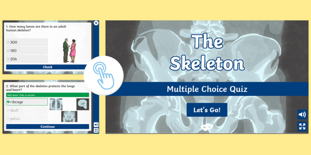Skeletal System Quiz