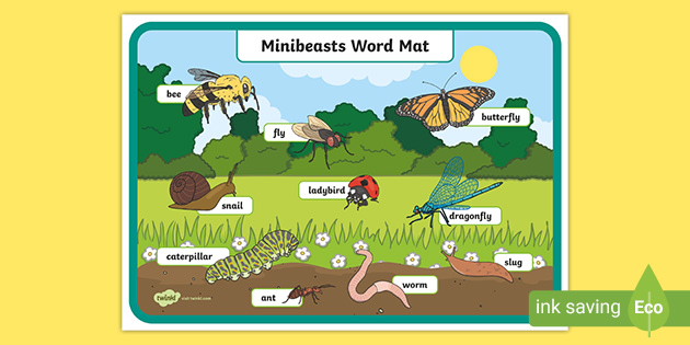 Minibeast Scene Word Mat (teacher made)