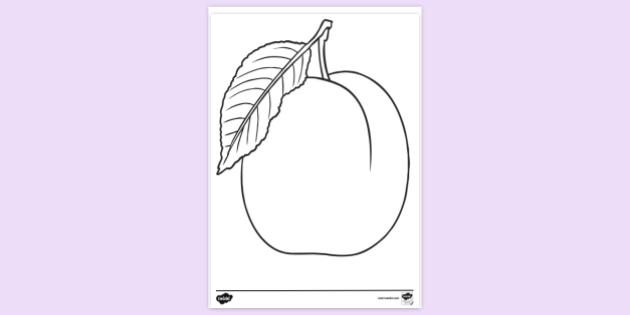 Plum Colouring Page | Colouring Sheets