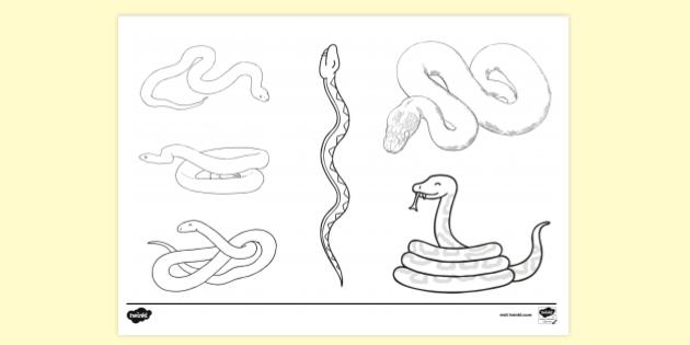 Printable Colouring Page of Snakes | Colouring Pages