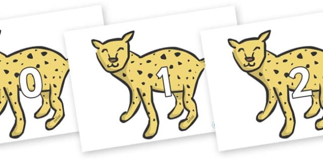 FREE! - Numbers 0-100 on Cheetahs (teacher made)