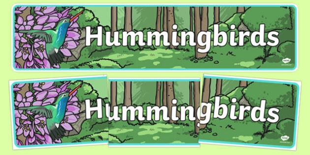 Hummingbirds Display Banner (teacher made)