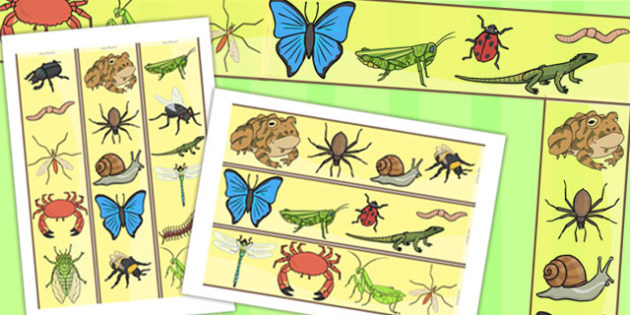 Minibeasts Display Border