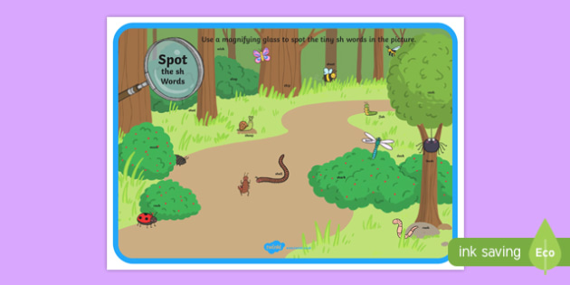 Phase 3 sh Words Minibeasts Scene Magnifying Glass Worksheet / Worksheet,