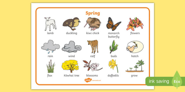 New Zealand Spring Word Mat (teacher made)