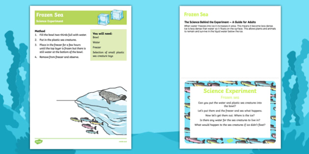 EYFS Frozen Sea Science Experiment and Prompt Card Pack