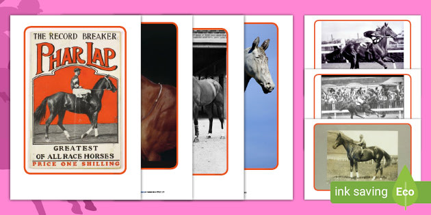Phar Lap Display Photos (teacher made)