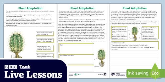 FREE! - Green Planet: Plants and The Environment Activity Sheets