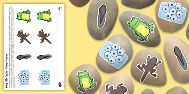 Life Cycle of a Frog Story Stone Image Cut-Outs
