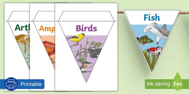Types Of Animals | Display Bunting | South Africa